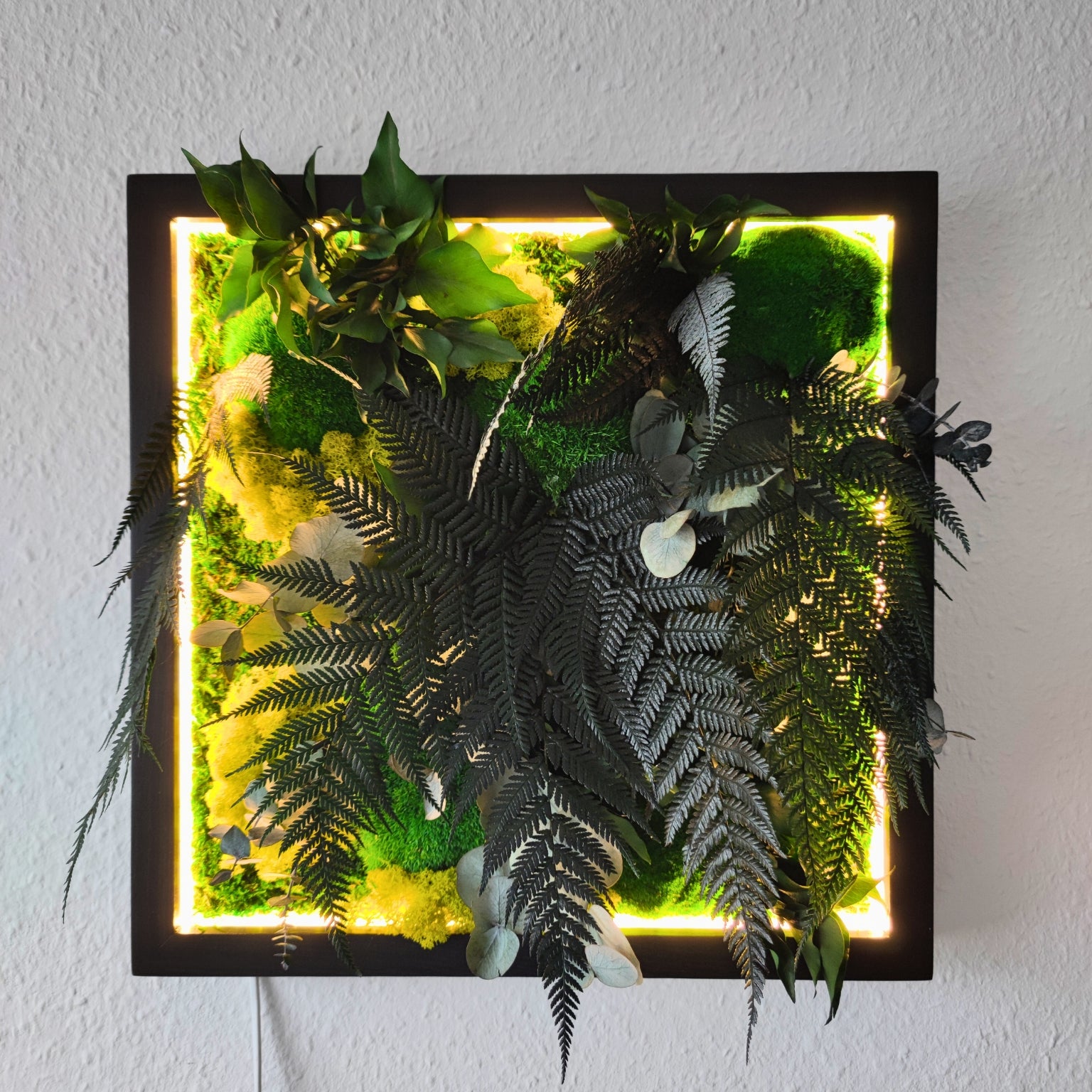 Moos & Kunst I Moosbilder mit Beleuchtung