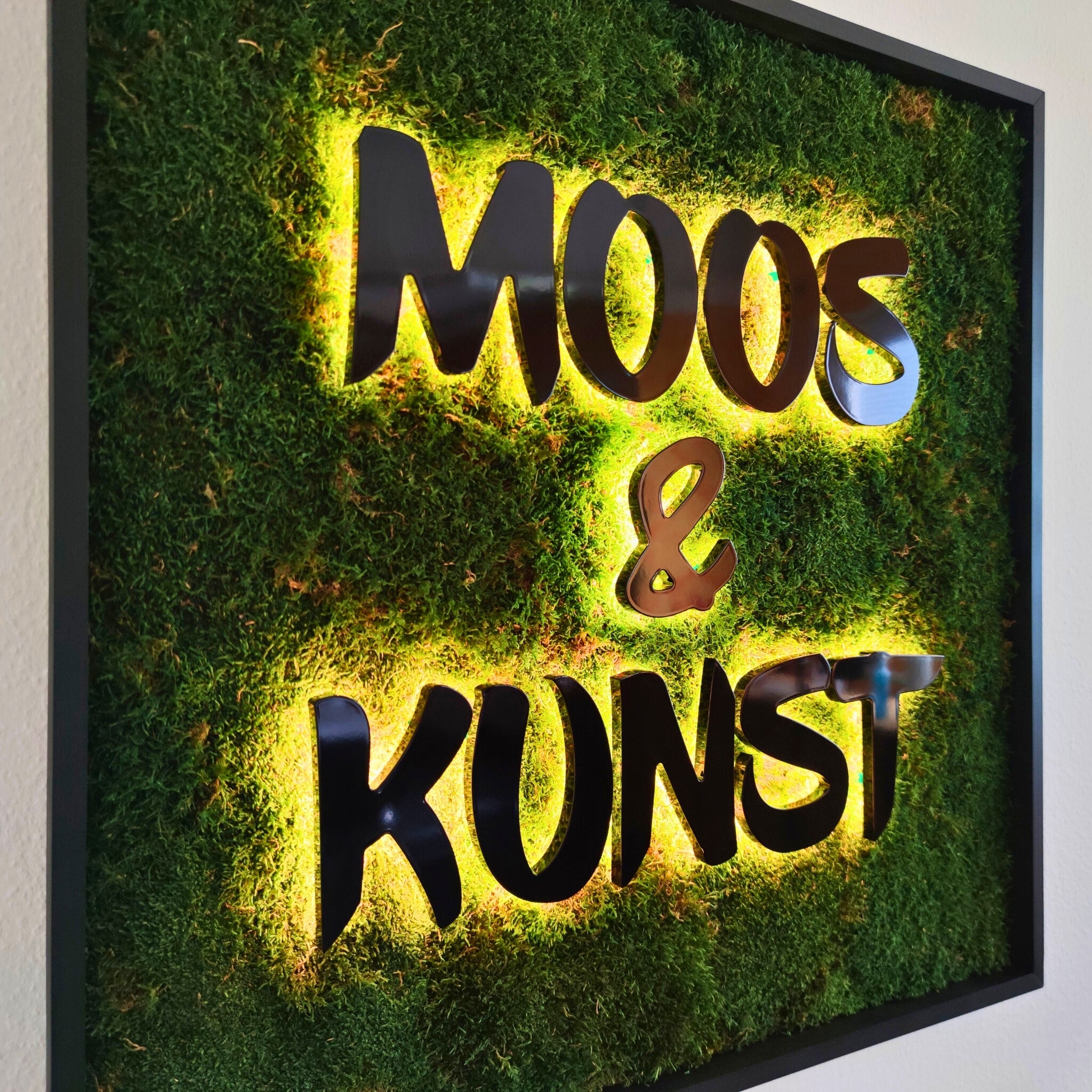 Moos & Kunst I Moosbilder mit Beleuchtung