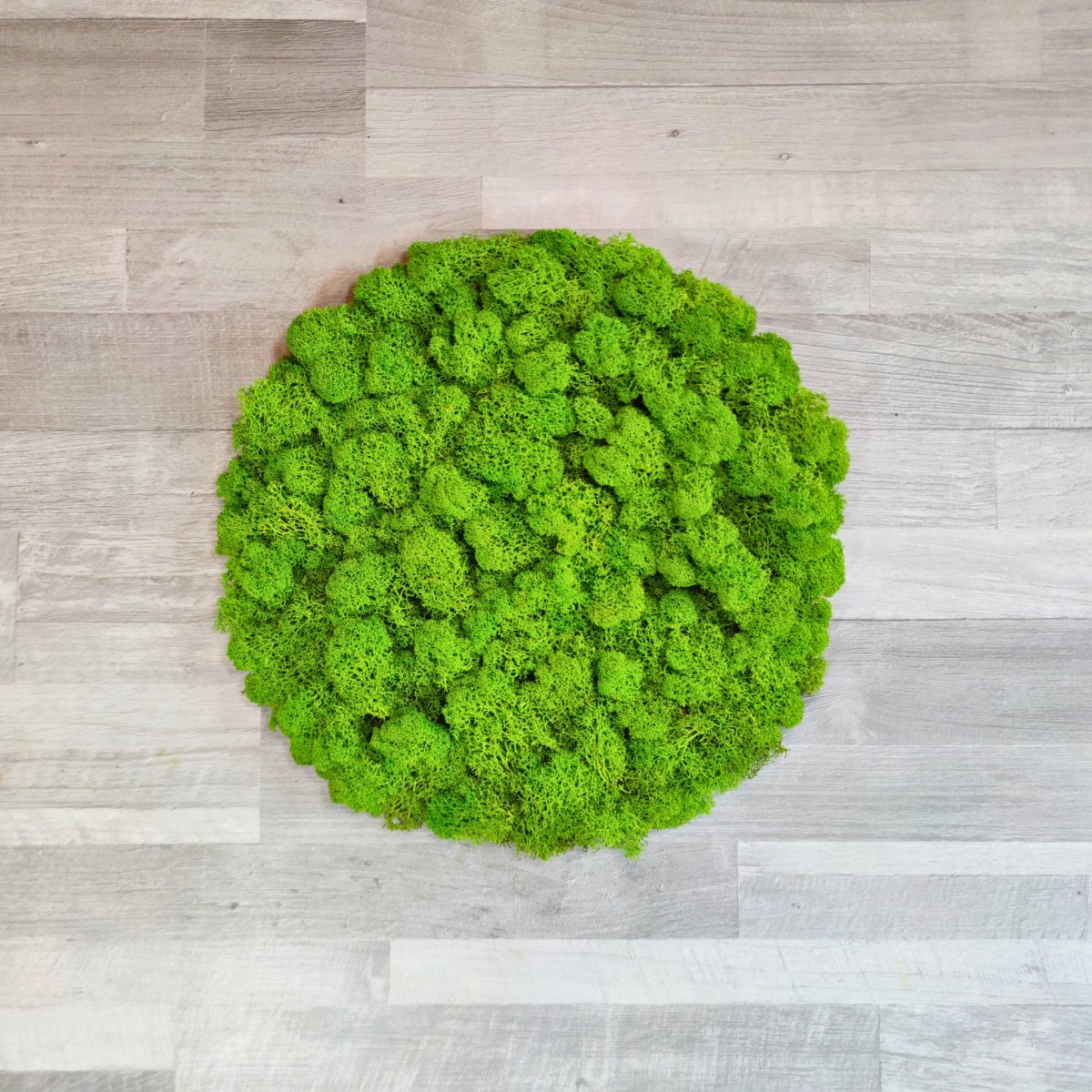 Moos & Kunst I Moosbilder mit Beleuchtung