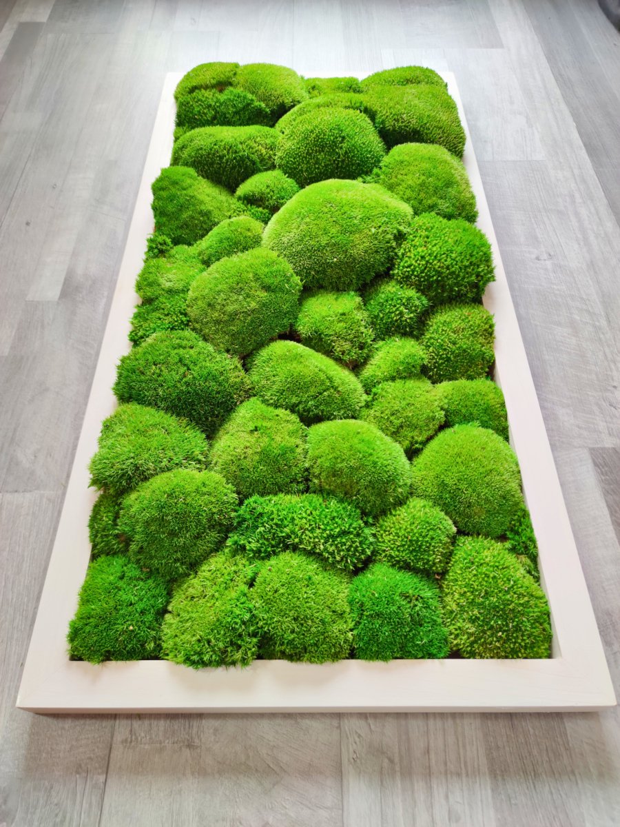 Moos & Kunst I Moosbilder mit Beleuchtung