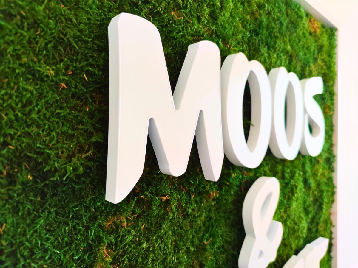 Moos & Kunst I Moosbilder mit Beleuchtung